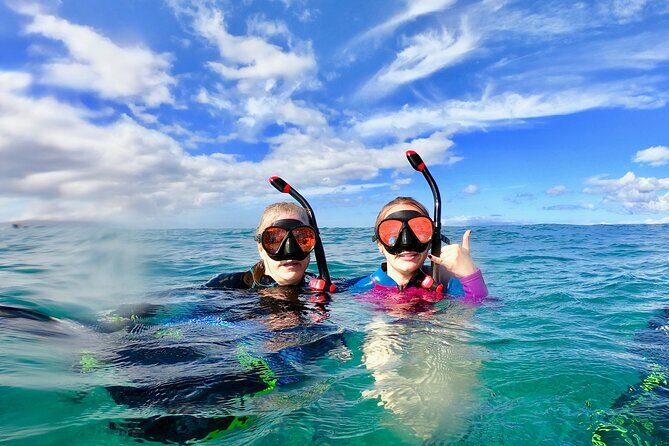 Lahaina Small Group Snorkeling Adventure - Unpacking the Cost and Value