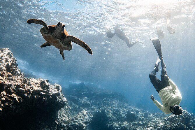 Lahaina Small Group Snorkeling Adventure - Practical Details