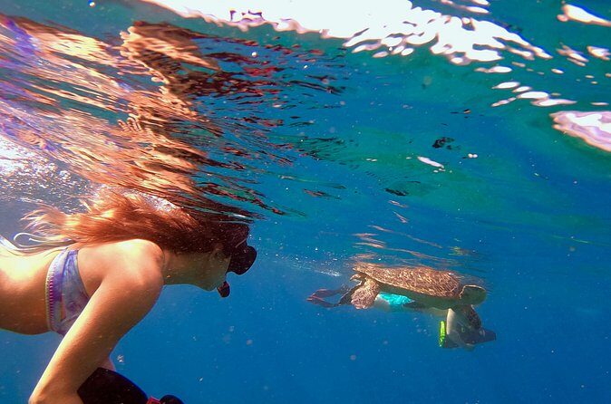 Lahaina Small Group Snorkeling Adventure - Who Will Love This Tour?
