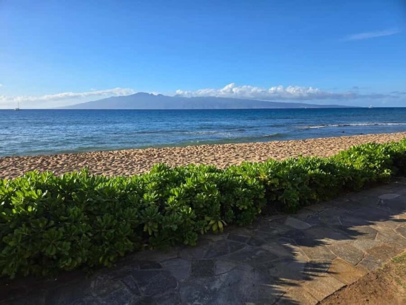 Lahaina: Small-Group Swim Lessons - Breakdown of the Experience