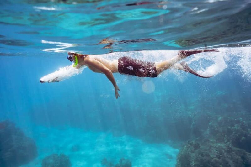 Lahaina: West Maui Snorkeling & Sailing Day Trip with Lunch - What Makes This Tour Stand Out