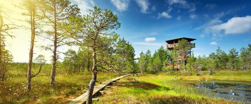 Lahemaa: Tour to Estonias Oldest National Park - Why Choose the Lahemaa National Park Tour?