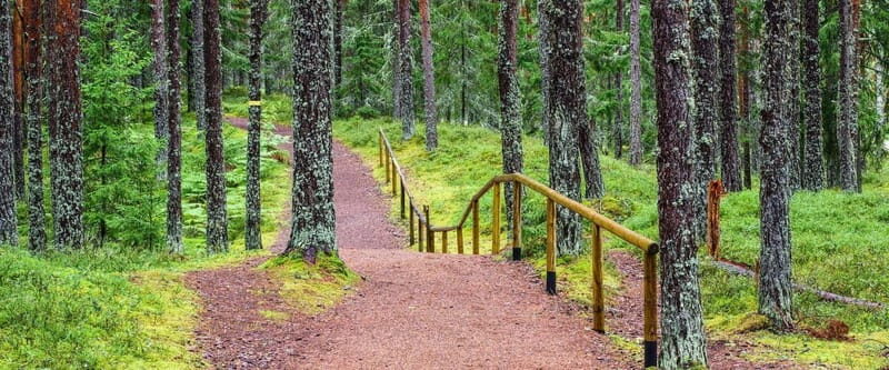 Lahemaa: Tour to Estonias Oldest National Park - Historical and Cultural Stops