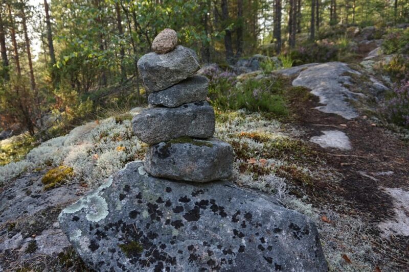 Lahti: Guided Nature Walk The Heart of The Swamp - Who Should Try This Tour?