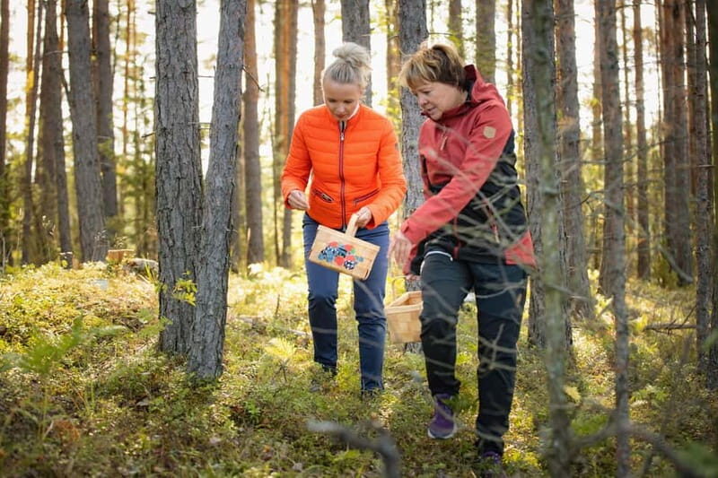 Lahti: Wild Food Foraging Tour with Tastings - Key Points