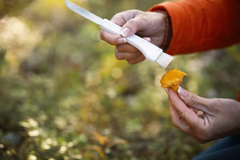 Lahti: Wild Food Foraging Tour with Tastings - Exploring Lahti’s Wild Food Tour: An Authentic Finnish Experience