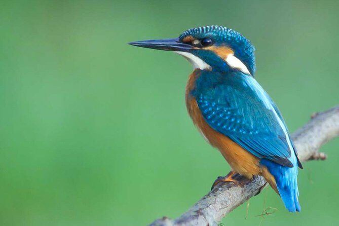 Lahugala Kitulana National Park Private Safari - The Sum Up: Is It Worth It?