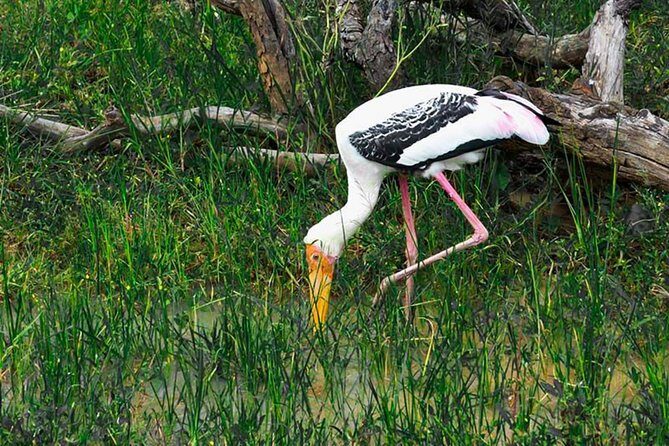 Lahugala Kitulana National Park Safari with Naturalist - FAQ