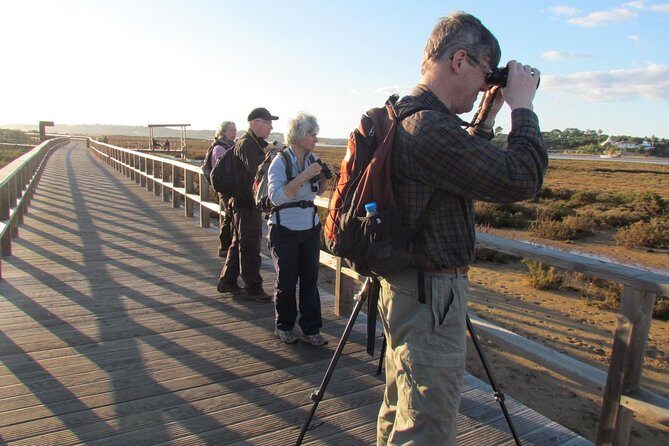 Laid-back birdwatching week - Key Points