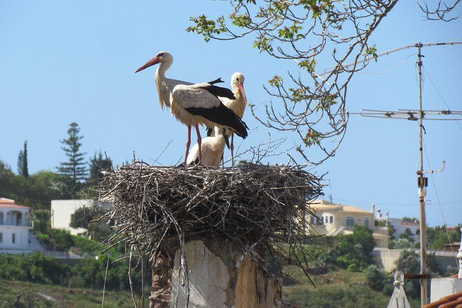Laid-back birdwatching week - Exploring the Itinerary: A Closer Look