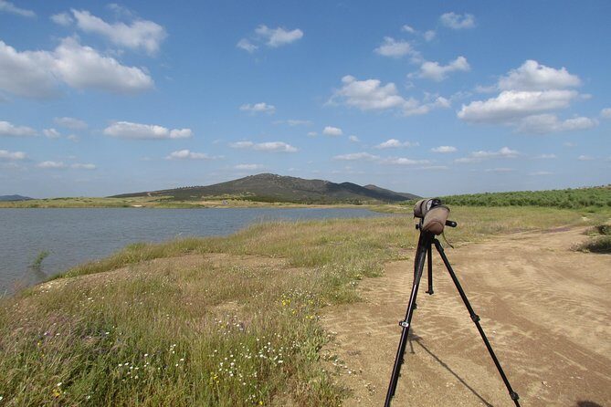 Laid-back birdwatching week - Practical Details and Considerations