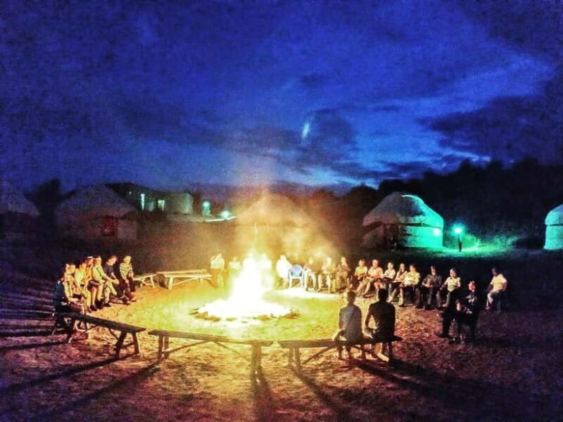 Lake Aydarkul: Kyzylkum Desert with Camel Ride & Taste Milk - Key Points