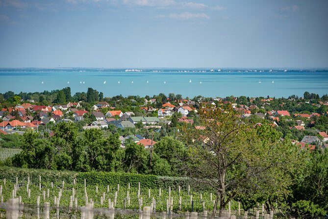 Lake Balaton Full Day Private Wine Tour - Exploring Lake Balaton’s Scenic Side