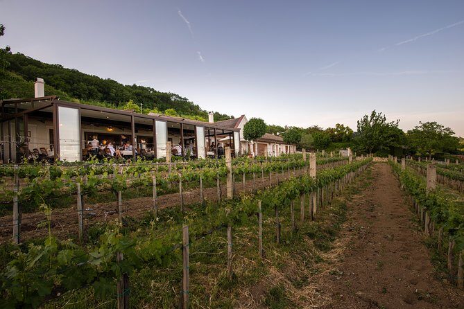 Lake Balaton Full Day Private Wine Tour - Additional Attractions: Tihany and Balatonfüred