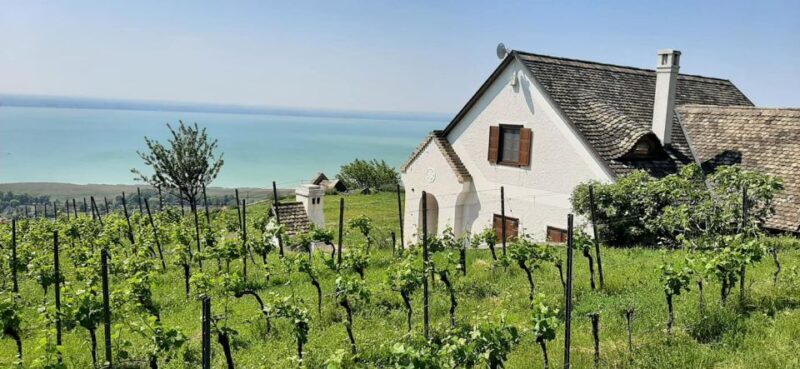 Lake Balaton Full-Day Tour from Budapest - The Sum Up: Why This Tour Is a Smart Choice