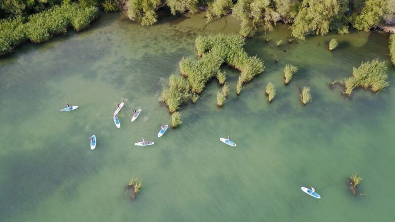 Lake Balaton: Paddle Board Tour of Tihany National Park - Who Is This Tour Best Suited For?