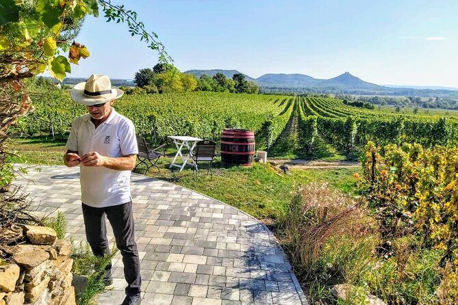 Lake Balaton private wine tasting and sightseeing from Budapest - How Does it Value?