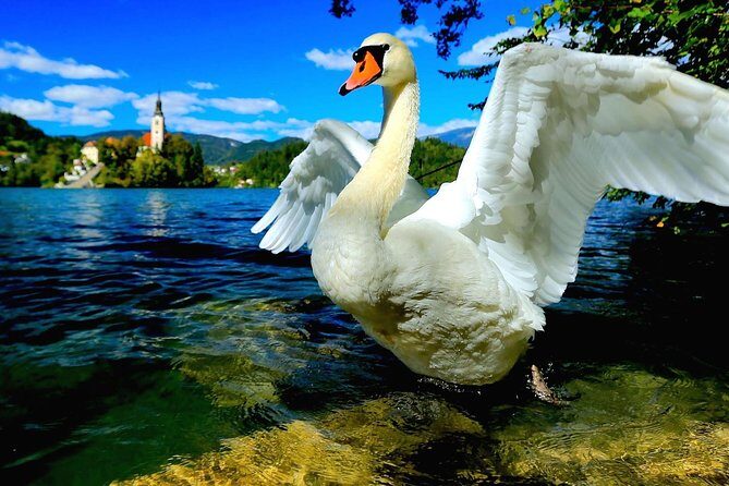 Lake Bled Half Day Excursion from Ljubljana - FAQ