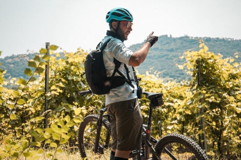 Lake Bolsena and the 'Via Francigena' eBike Tour - Discovering the Charm of Lake Bolsena by eBike