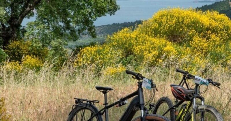Lake Bolsena and the 'Via Francigena' eBike Tour - FAQ