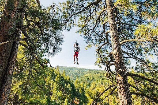Lake Coeur d'Alene Zipline Tour - Final Thoughts