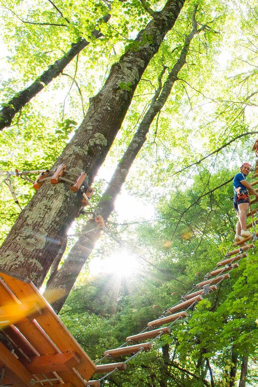 Lake Como Adventure Park Day Access - Authentic Feedback From Visitors