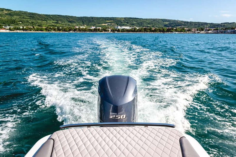 Lake Como: Shared Group or Private Boat Tour - An In-Depth Look at Lake Como Boat Tours