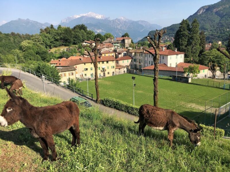 Lake Como to Lake Lugano: E-Bike Three Panoramic Lakes - Key Points