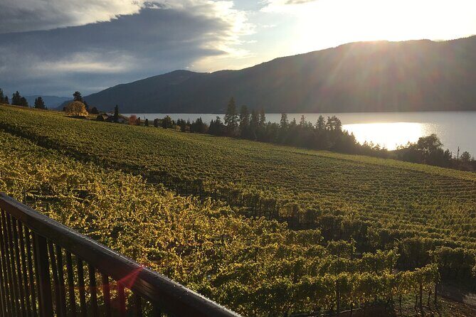 Lake Country 5Hour 5 Winery Tour - Why This Tour Offers Great Value