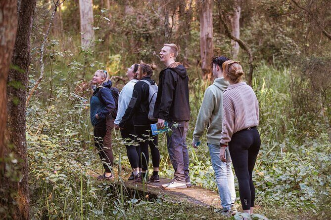 Lake Cruise and Nature Walk in Lake Macquarie - Final Thoughts