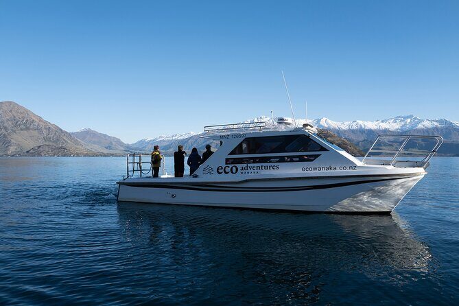 Lake Cruise & Mou Waho Island Nature Walk - Authentic Reviews: What Travelers Say