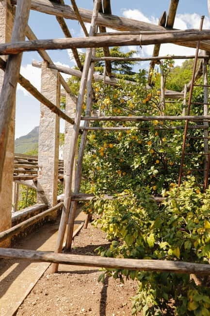 Lake Cruise (visit Gargnano + typical Lemon Garden) - Exploring the Lake Garda Boat Tour: The Details