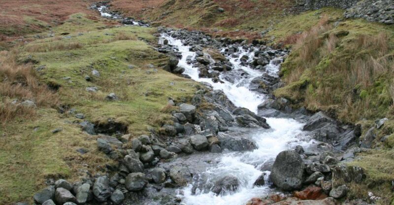 Lake District: Half-Day 8 Lakes Tour - In-Depth Look at the Tour