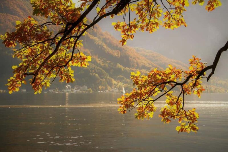 Lake District Tour and Windermere Cruise from Manchester - A Deep Dive into the Lake District and Windermere Tour