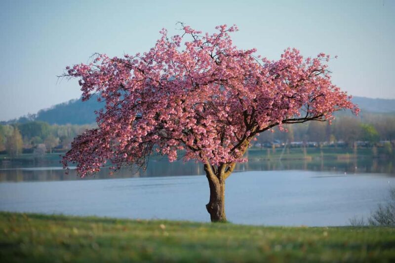Lake District Tour and Windermere Cruise from Manchester - Who Is This Tour Best For?