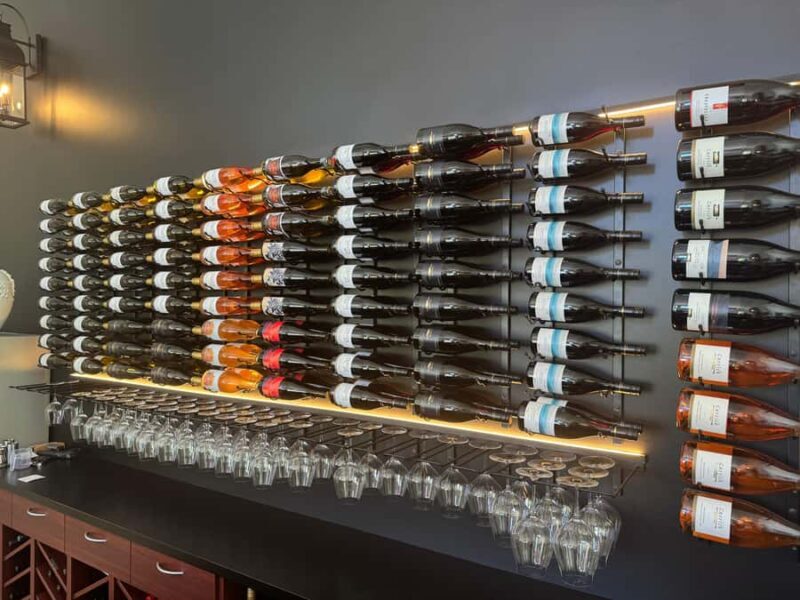 Lake Dunstan Trail eBike Adventure (inc Shuttle) - Price and Value