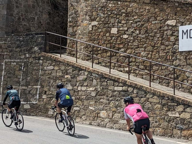 Lake Garda: Cycling Experience Around the Lake - Key Points