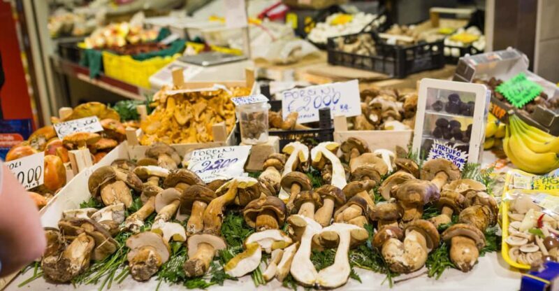 Lake Garda: Dining Experience at a Local's Home - Key Points