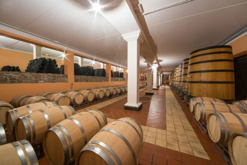 Lake Garda: Garda Hills Wine Tour and Tasting - Authentic Praise from Participants
