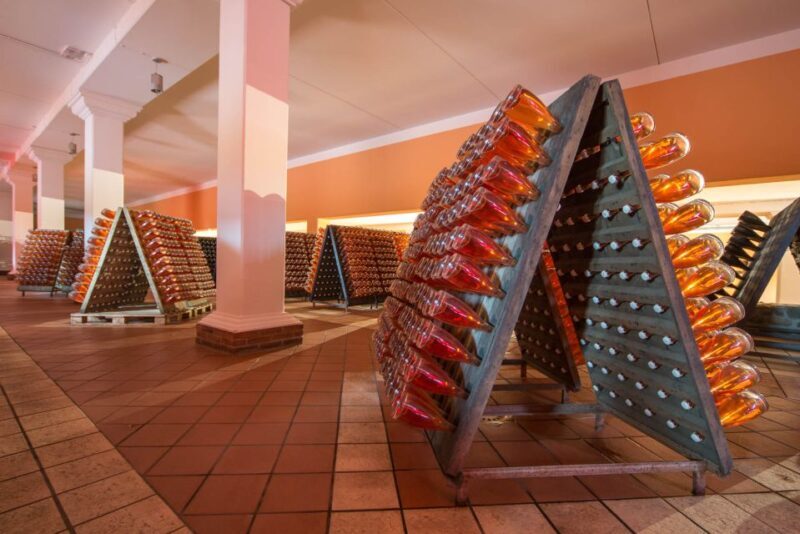Lake Garda: Garda Hills Wine Tour and Tasting - Analyzing the Value