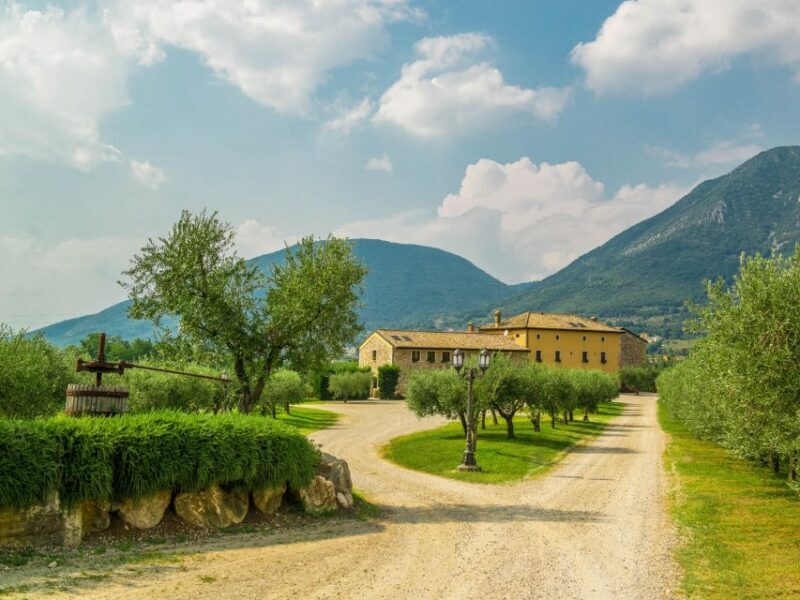 Lake Garda: Garda Hills Wine Tour and Tasting - FAQs about Garda Hills Wine Tour and Tasting