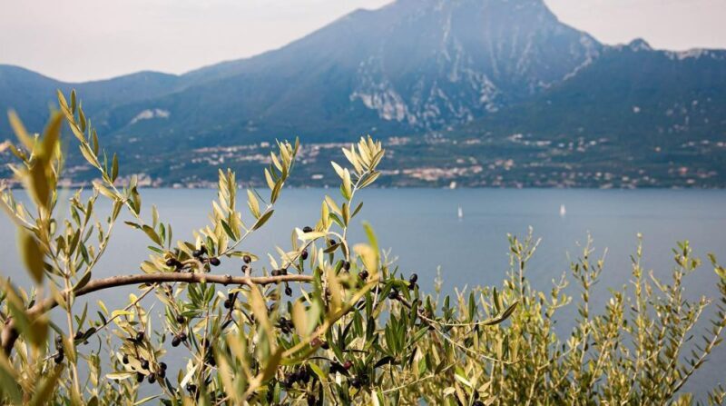 Lake Garda nature, cuisine, culture and history. - The Detailed Itinerary