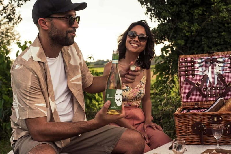Lake Garda: Pic Nic in the vineyard with wine tasting - Exploring the Experience: A Detailed Look