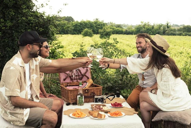 Lake Garda: Pic Nic in the vineyard with wine tasting - The Itinerary in Depth
