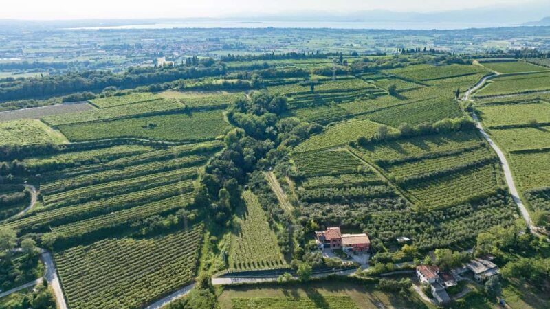 Lake Garda: Tour with 4 Olive Oil Tasting & Local Food - FAQ