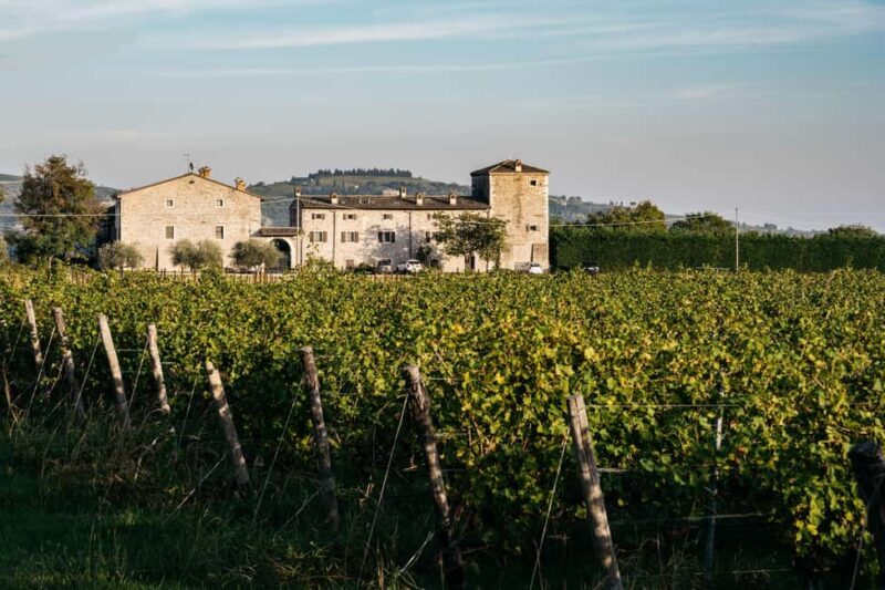 LAKE GARDA: VINEYARD AND WINERY TOUR - Why This Tour Stands Out