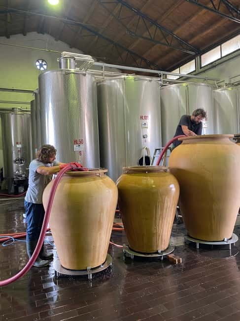 LAKE GARDA: VINEYARD AND WINERY TOURS - FAQ