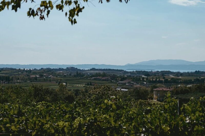 Lake Garda: Vineyard Tour and Tasting on the Hills - A Deep Dive into the Experience