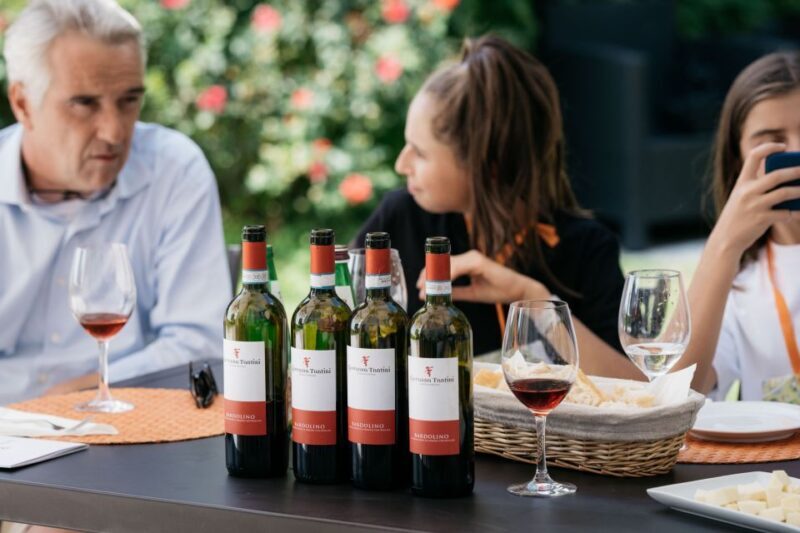 Lake Garda: Vineyards Tour and Wine Tasting - What to Expect: Practical Details