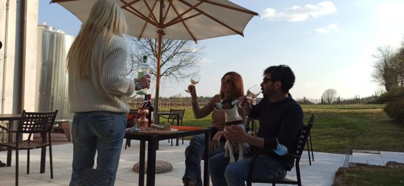 Lake Garda: Vineyards Tour and Wine Tasting - FAQ